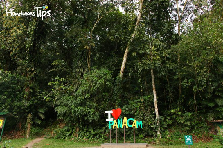 Los 5 Parques Nacionales con el aire más puro de Honduras