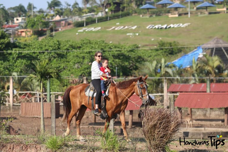 Zoológico y Ecoparque Joya Grande