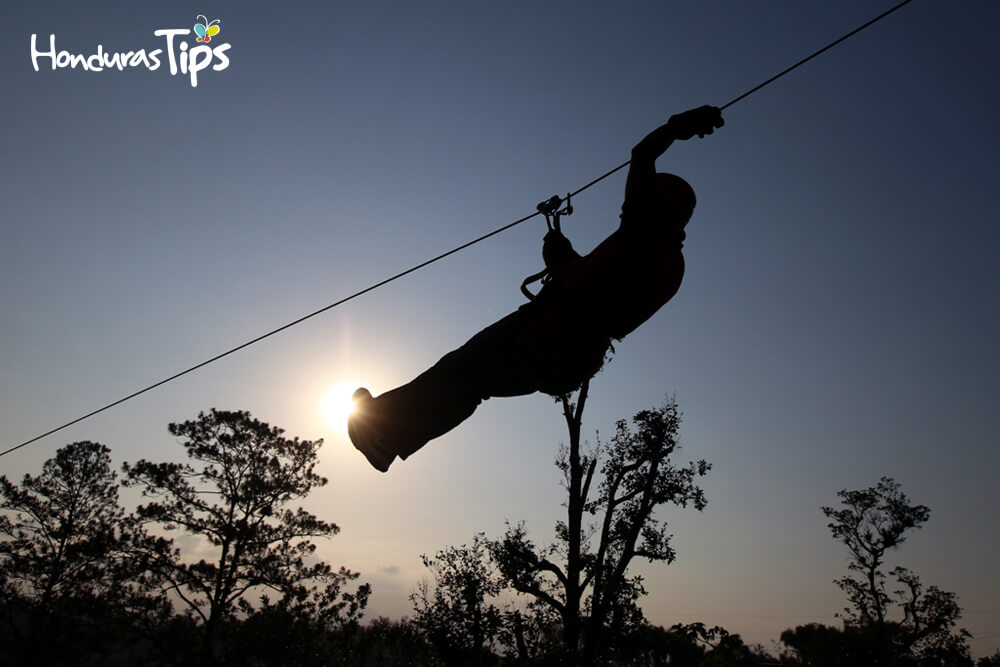 Zoológico y Ecoparque Joya Grande
