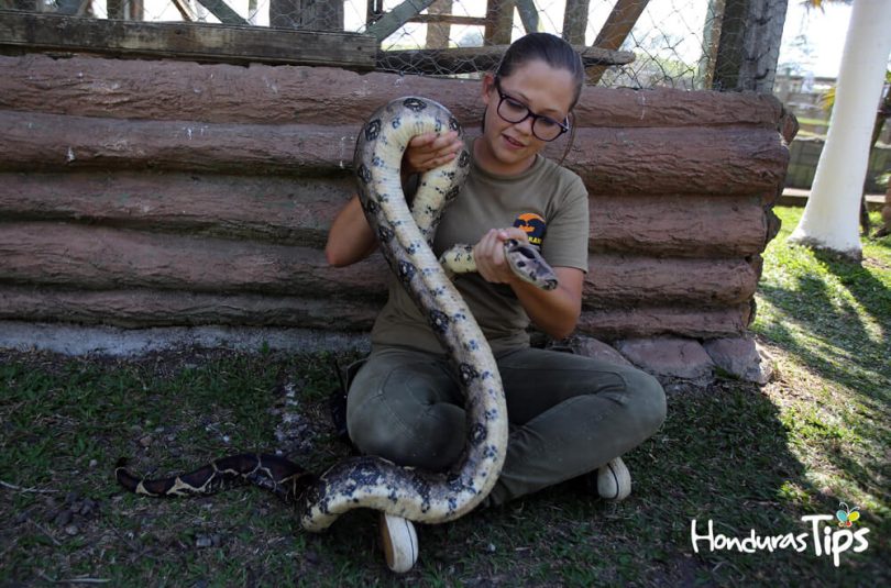 Zoológico y Ecoparque Joya Grande