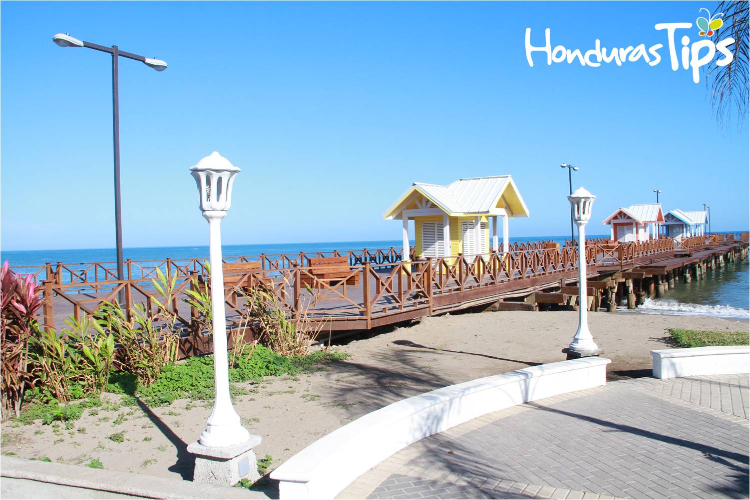 Las 8 cosas que nos hacen amar por completo La Ceiba