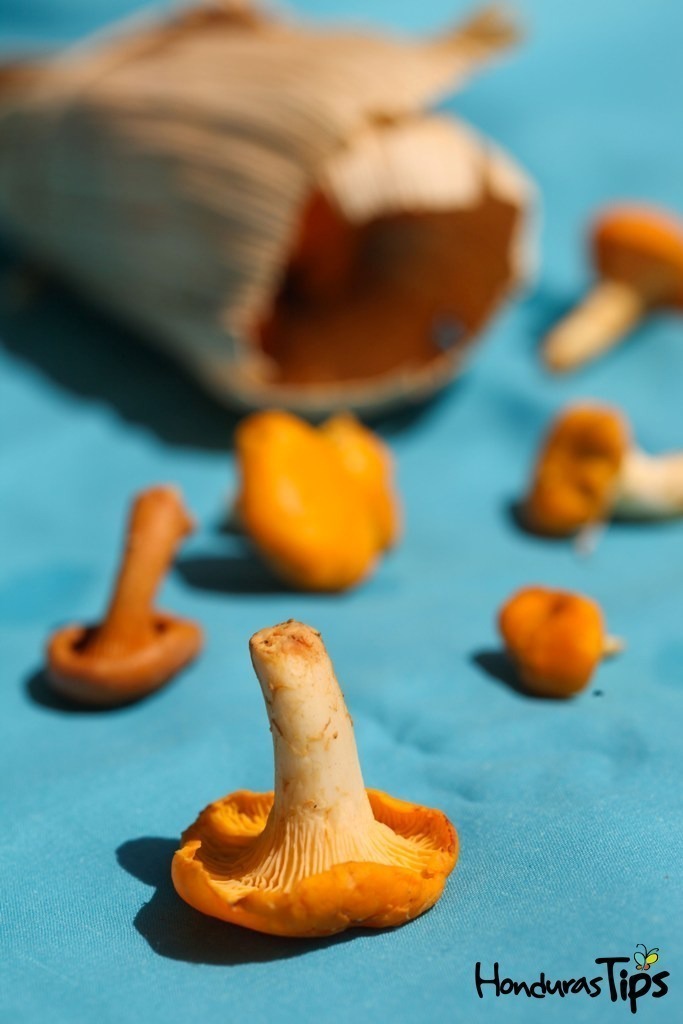 Dele una oportunidad a las comidas de Honduras - Página 3 de 7 ...