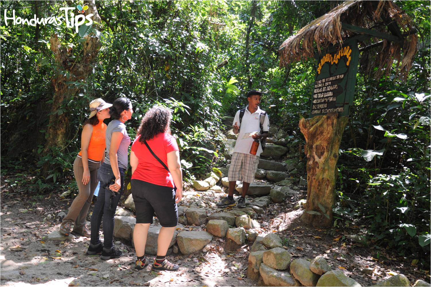 Sendero Guaruma, destino ideal para aventurarse a practicar senderismo