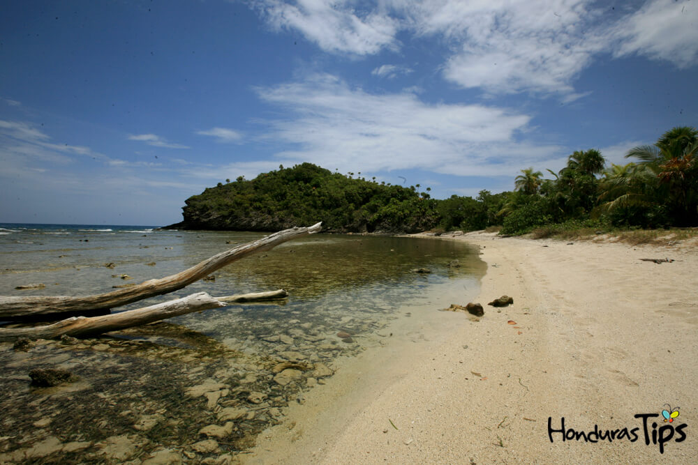 Cayos Cochinos, un paraíso marino que enamora al mundo