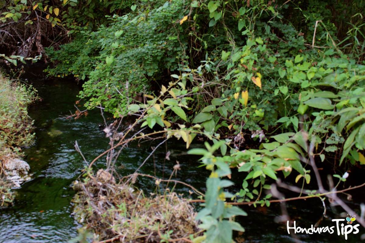 Olanchito: civismo, aventura y misterio