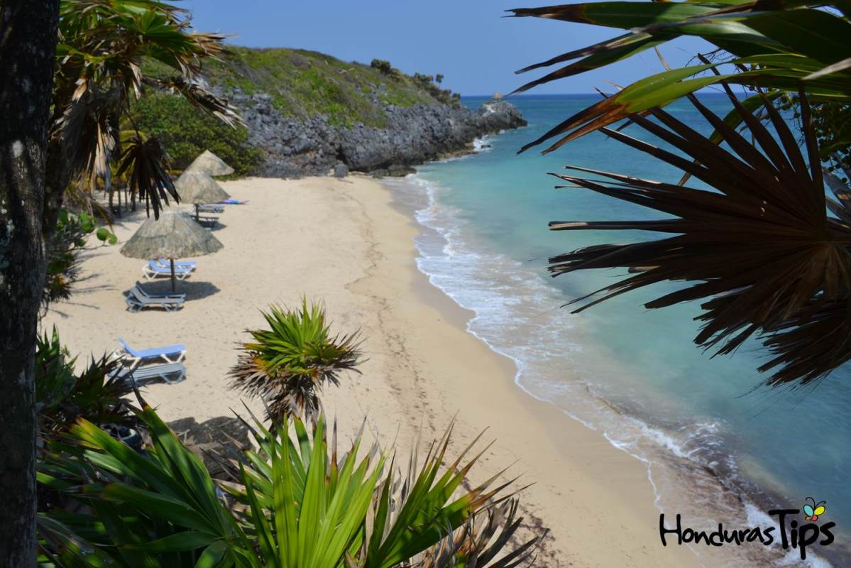 Los famosos que aseguran que Roatán es una maravilla del mundo