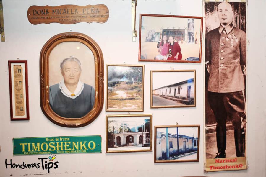 La historia del Timoshenko en impresionantes postales