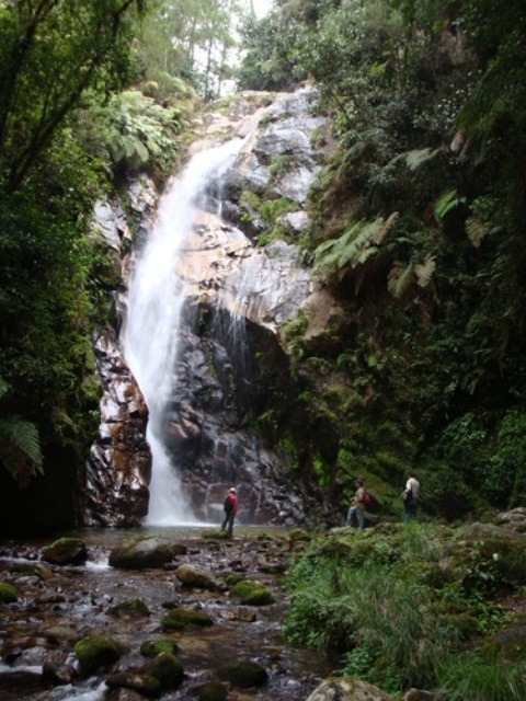Nueve maravillas para divertirse en Cortés