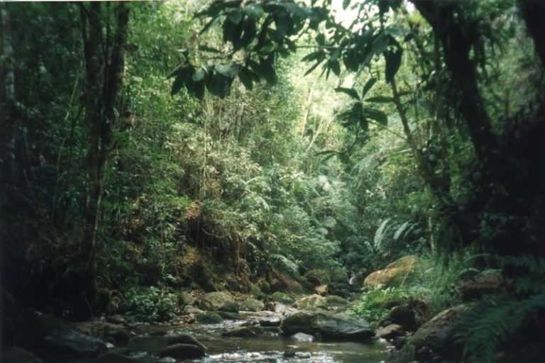 23 Parques Nacionales para explorar en Honduras