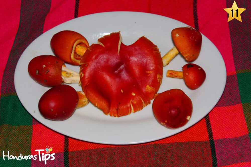 Las 30 Maravillas oficiales de Honduras