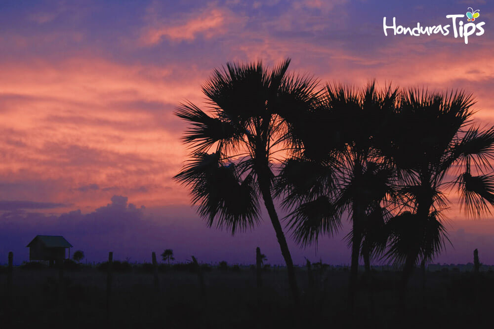 25 Lugares imperdibles de Honduras ¡Emociones garantizadas!