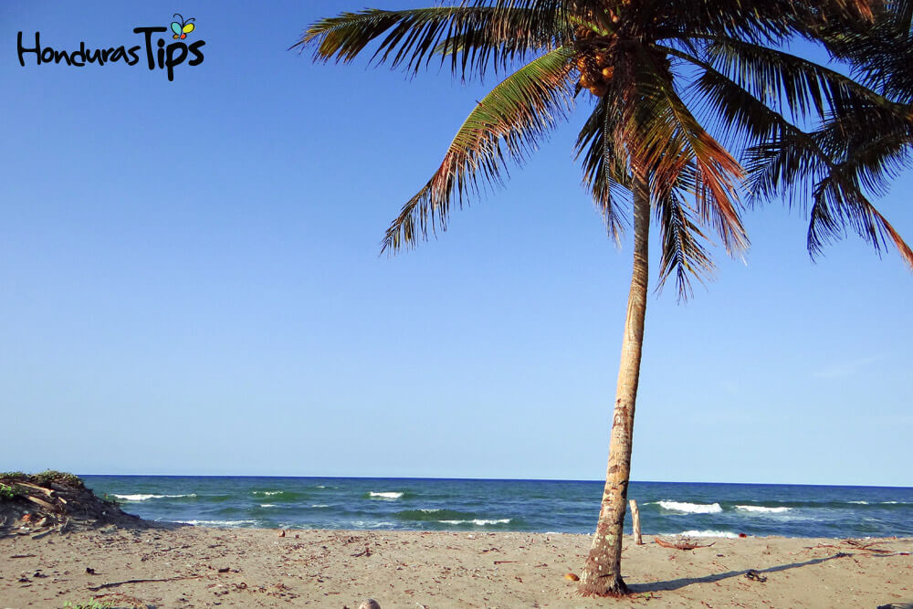 19 fotografías para amar la villa garífuna de Miami