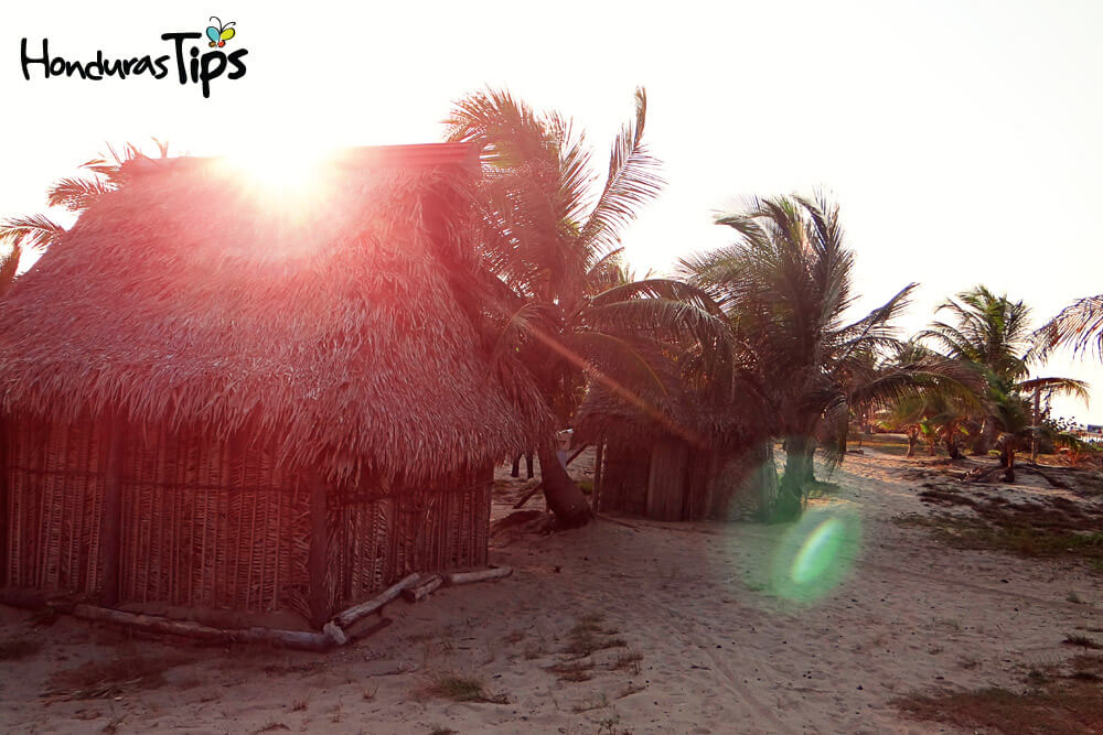 19 fotografías para amar la villa garífuna de Miami