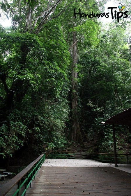 Rawacala: el lugar de Omoa que está enamorando a todos