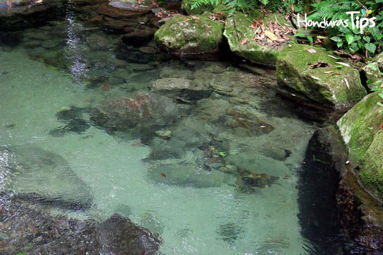 Rawacala: el lugar de Omoa que está enamorando a todos