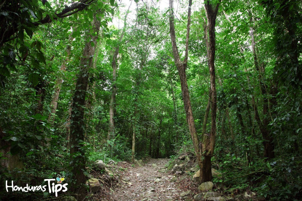 Rawacala: el lugar de Omoa que está enamorando a todos