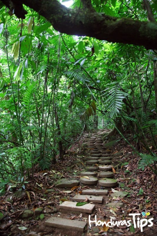 Rawacala: el lugar de Omoa que está enamorando a todos
