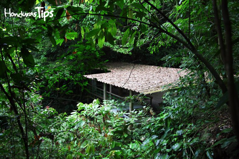 Rawacala: el lugar de Omoa que está enamorando a todos