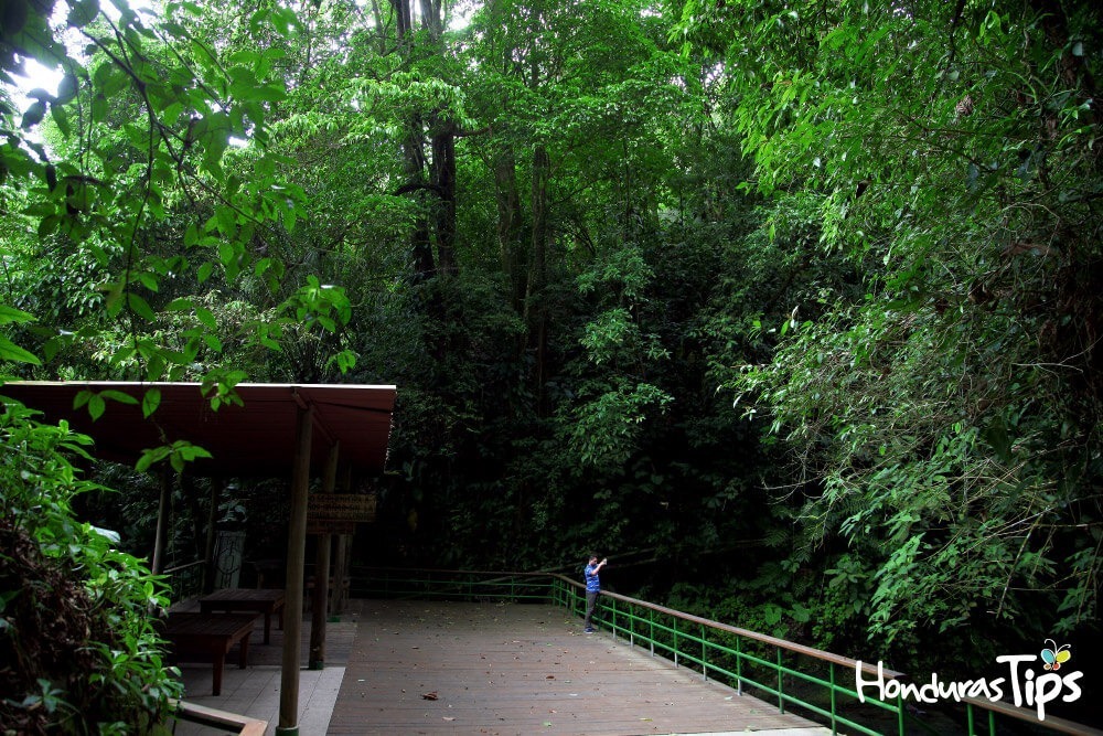 Rawacala: el lugar de Omoa que está enamorando a todos