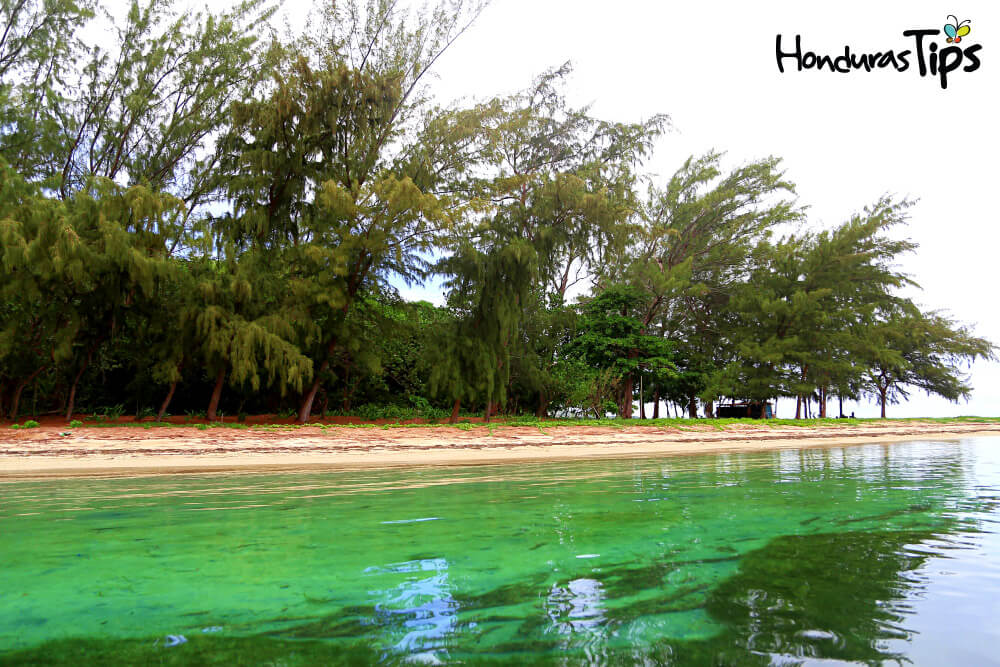 Guanaja y sus encantos que enamoran – Hondurasensusmanos Ferias ...