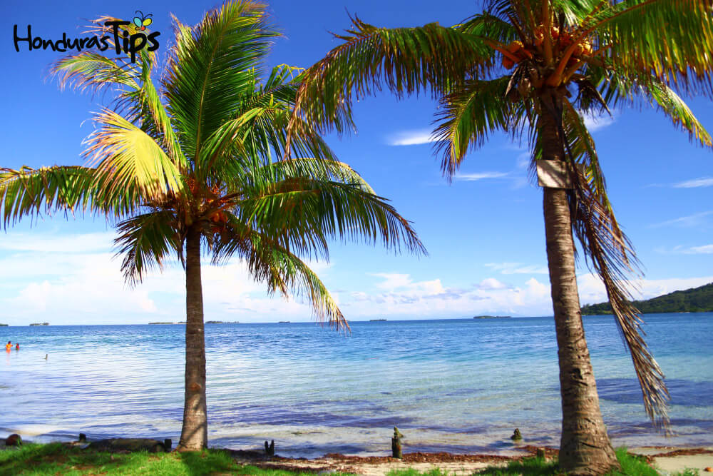 45 razones para planificar tus próximas vacaciones a Guanaja