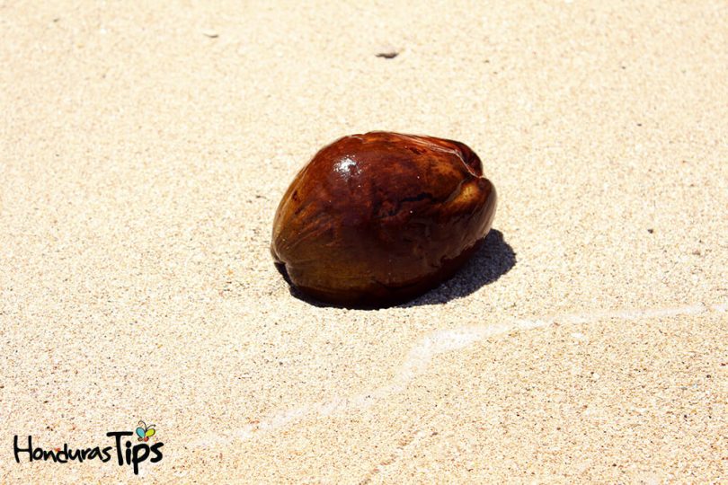 Cocalito, una alucinante playa en Tela