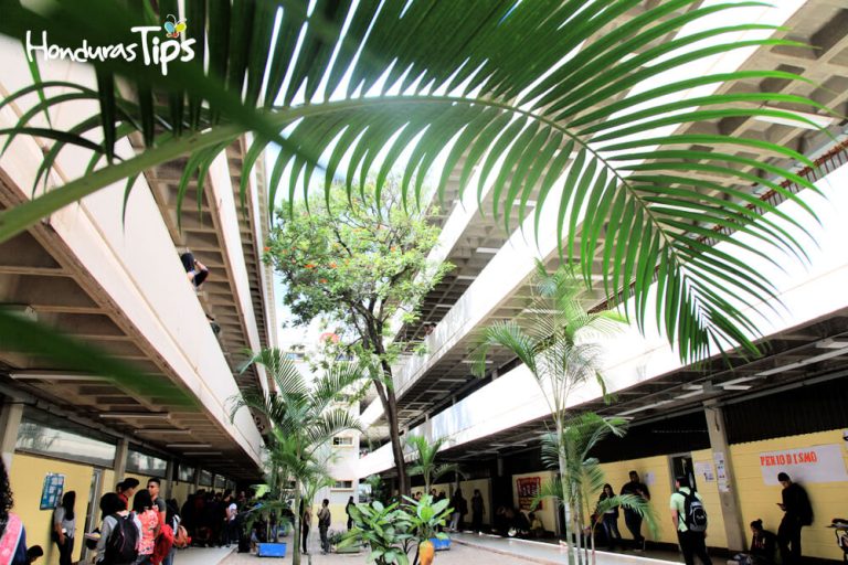 La UNAH en 19 maravillosas postales