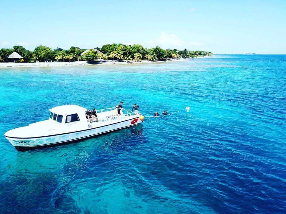 Once sitios para aprender a bucear en Utila