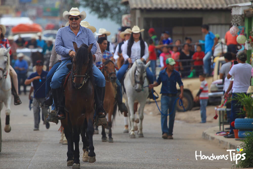 Razones para ir al Festival del Choro y el Vino