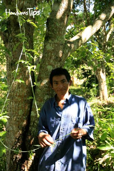 Todo lo que tiene que saber de las etnias de Honduras