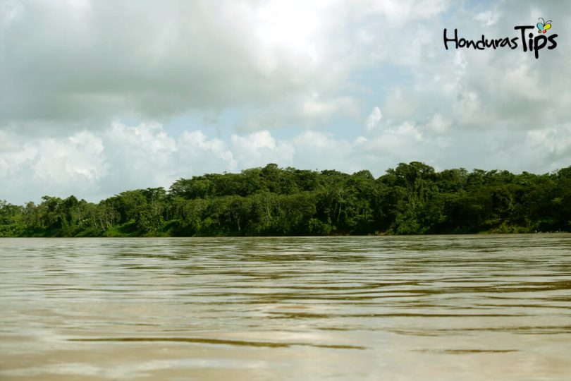 La Mosquitia, una selva virgen para la exploración y aventura
