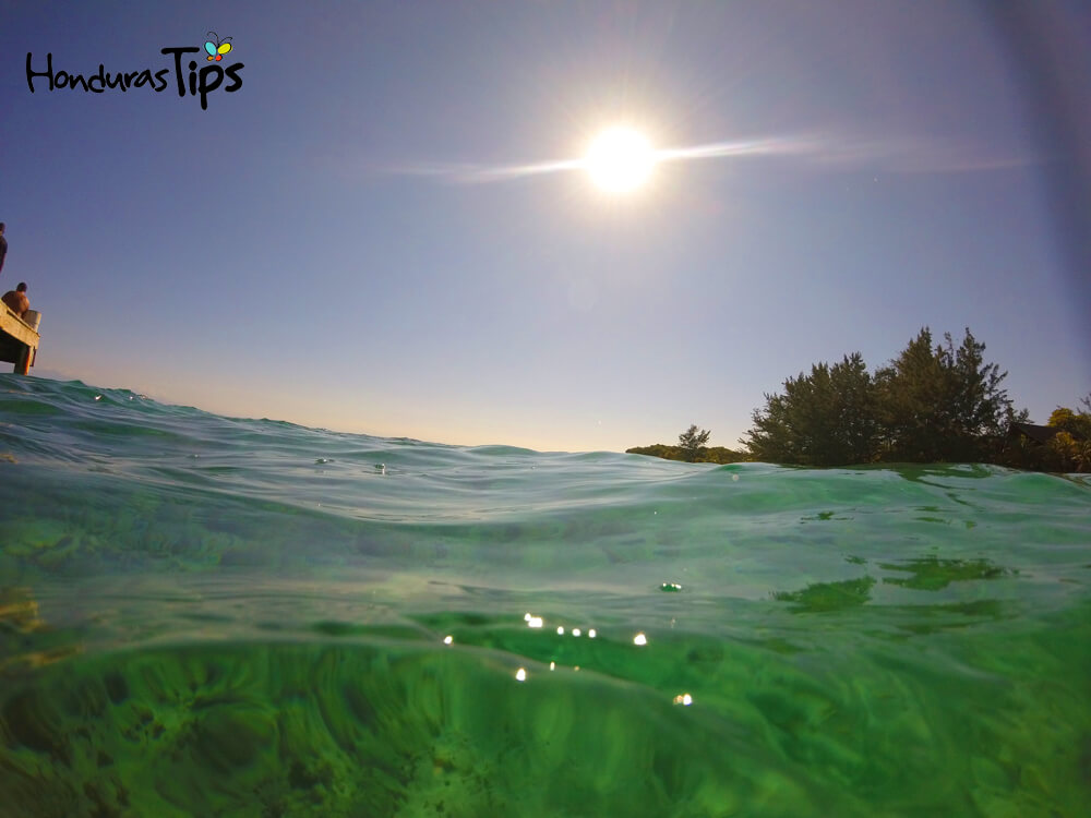 Neptune's una joya escondida en Utila