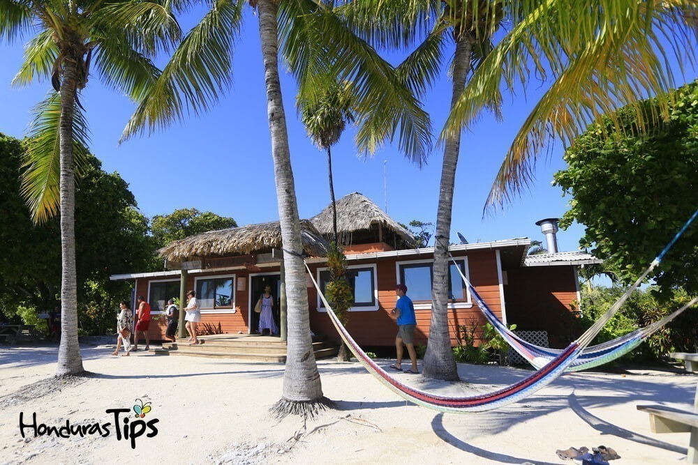 Neptune's una joya escondida en Utila