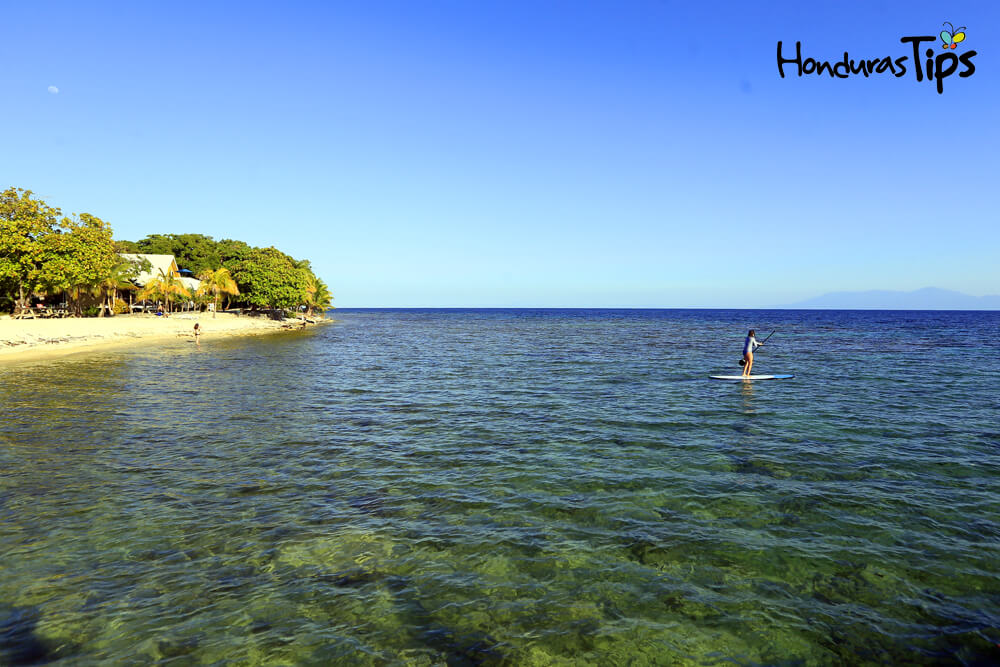 Neptune's una joya escondida en Utila