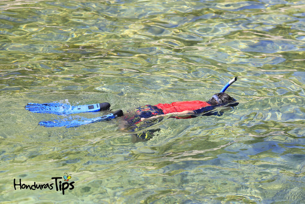 Neptune's una joya escondida en Utila