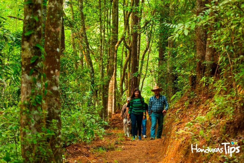 Hidden Gems, una propuesta moderna para hospedarse en Marcala