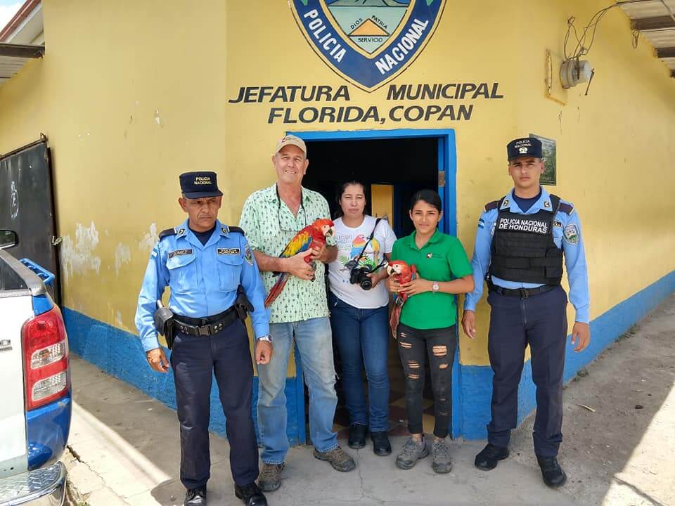 Milagros y Florida, son los nombres que recibieron las guacamayas ...