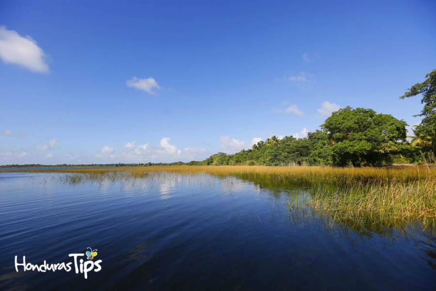 10 motivos para explorar las riquezas de La Mosquitia