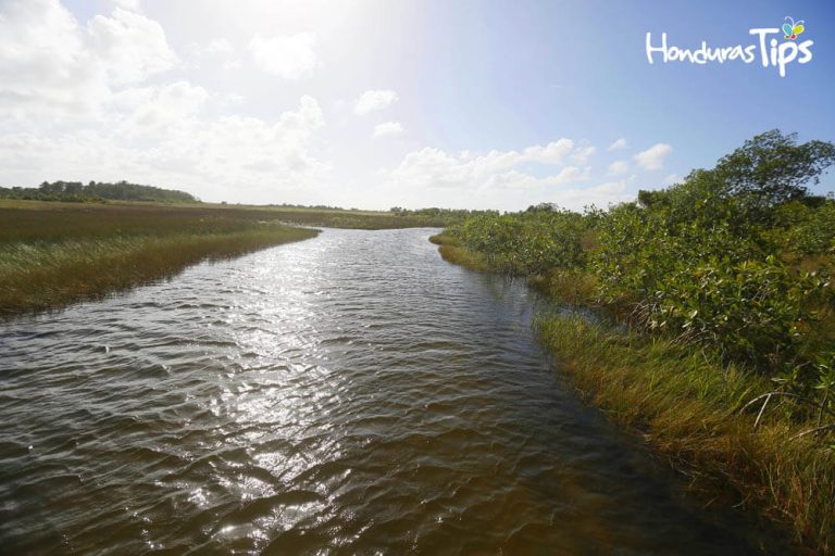 10 motivos para explorar las riquezas de La Mosquitia