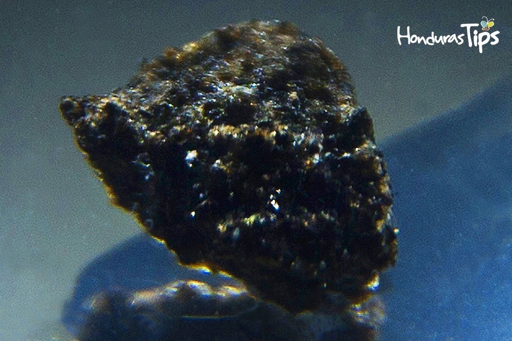 Honduras celebra 50 años del Apolo XI con exhibición de roca lunar