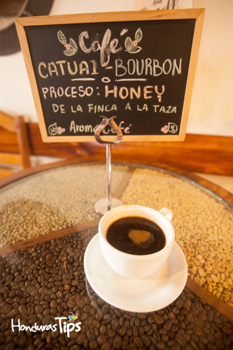 Café de Marcala, una verdadera exquisitez de Honduras