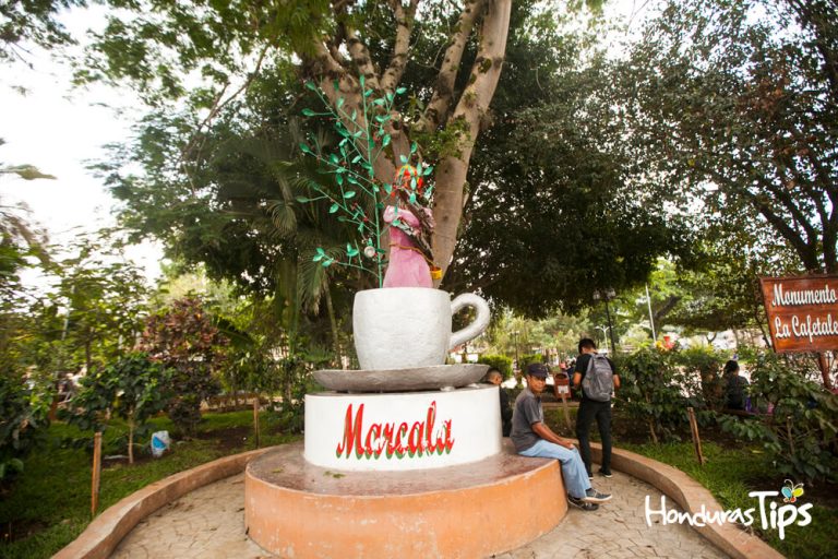Café de Marcala, una verdadera exquisitez de Honduras