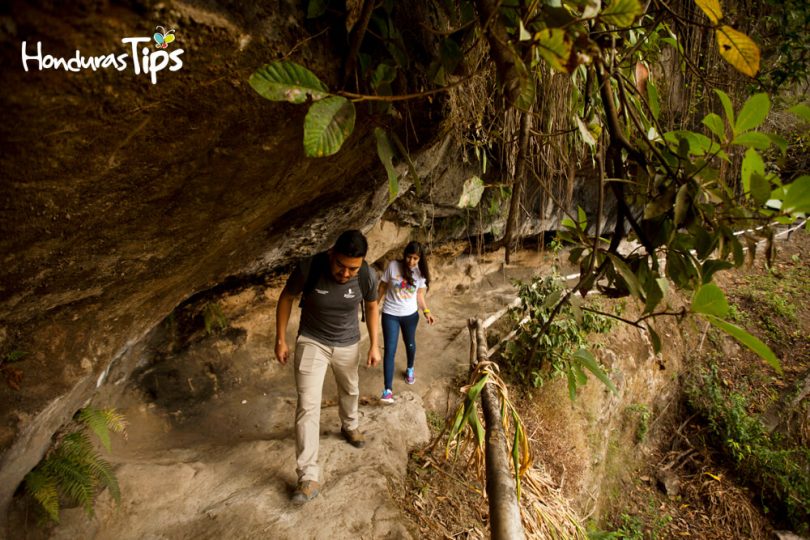 Café de Marcala, una verdadera exquisitez de Honduras