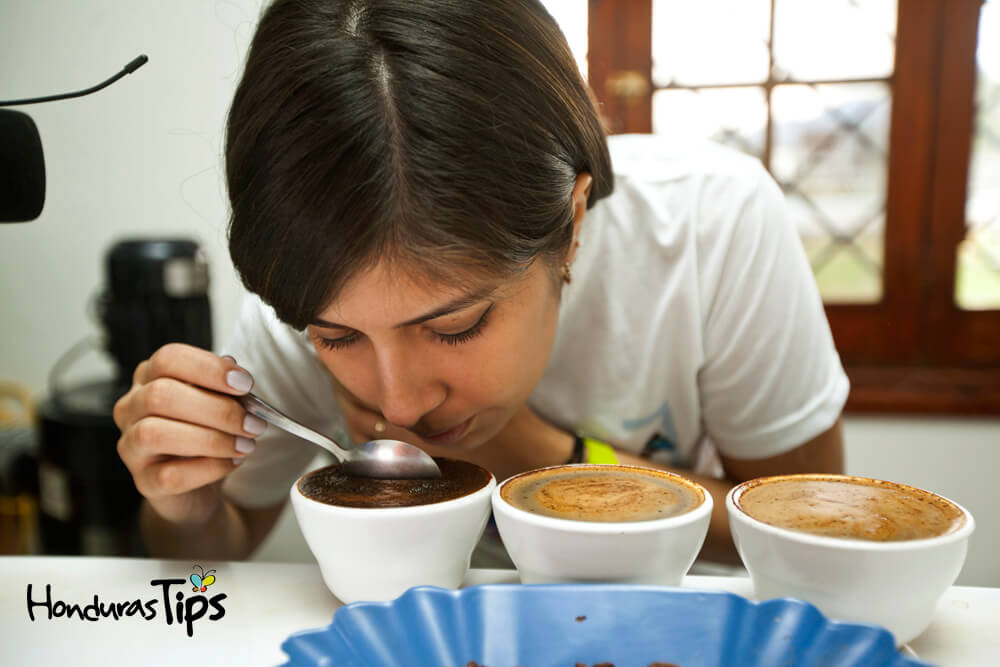 Café de Marcala, una verdadera exquisitez de Honduras