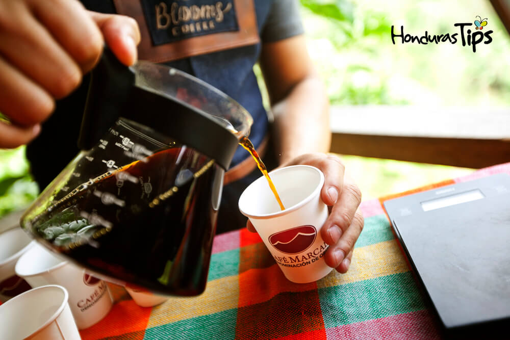 Café de Marcala, una verdadera exquisitez de Honduras