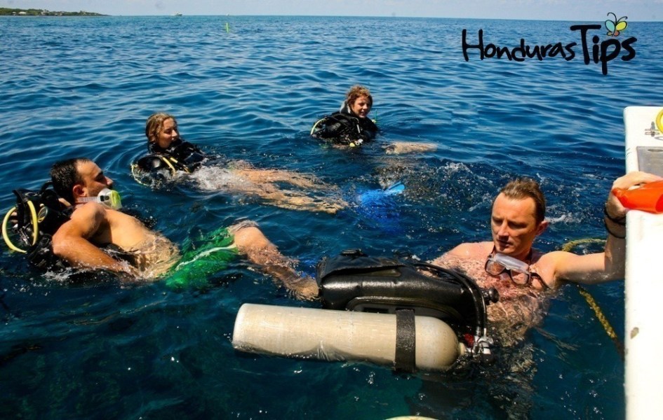 Scuba Diving elige a Roatán como un destino ideal para el buceo
