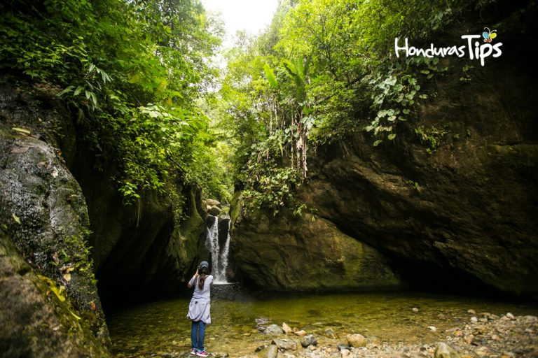 Pico Bonito, la exuberante reserva natural de Honduras - Honduras Tips