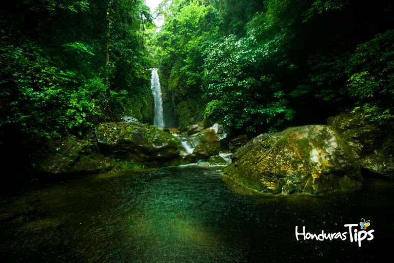Pico Bonito, la exuberante reserva natural de Honduras - Honduras Tips