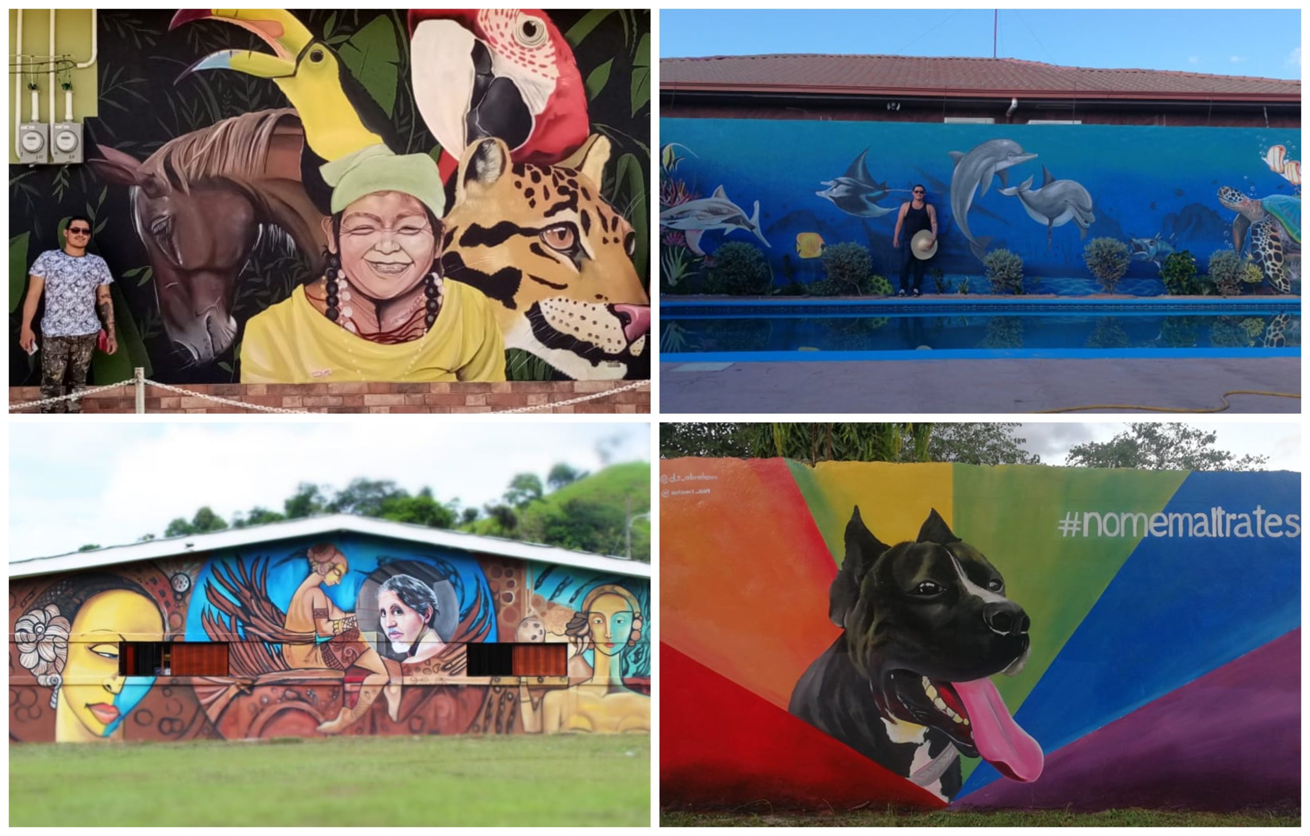 Denny Abraham, el artista ceibeño que embellece Honduras con sus murales