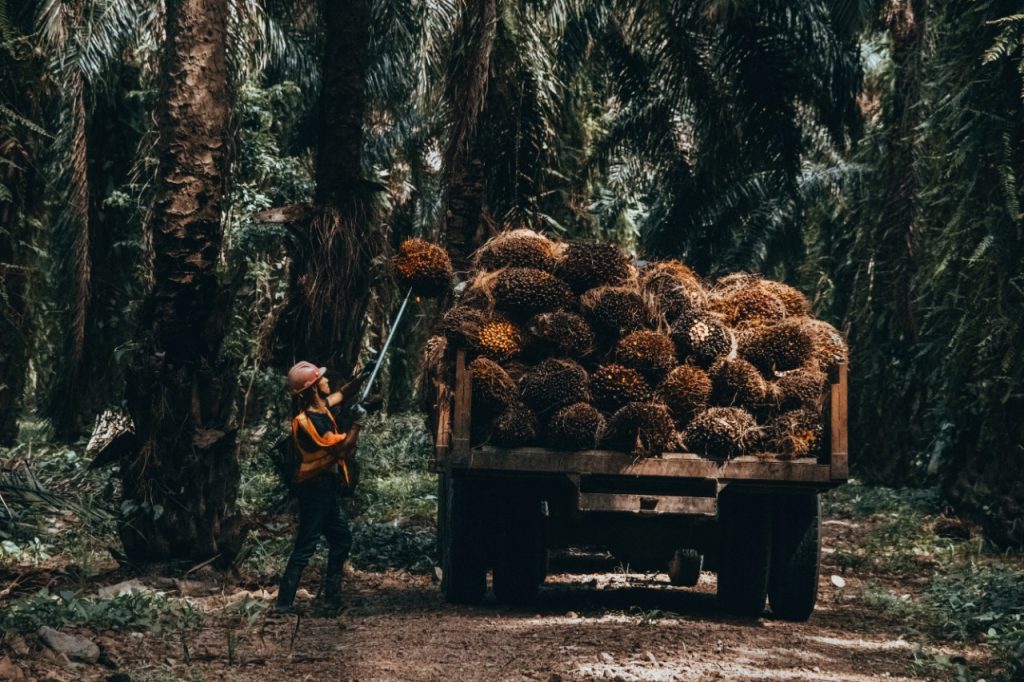 7 encantos que guarda la ciudad de Tocoa en Colón